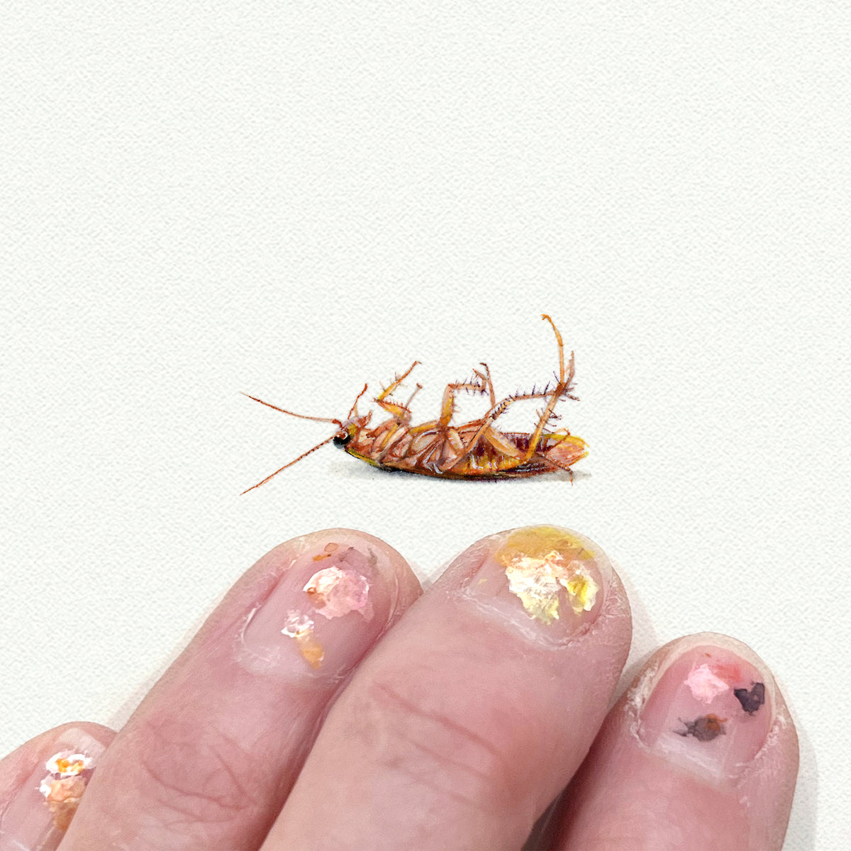 Cockroach | miniature painting | karen libecap miniature painting ...