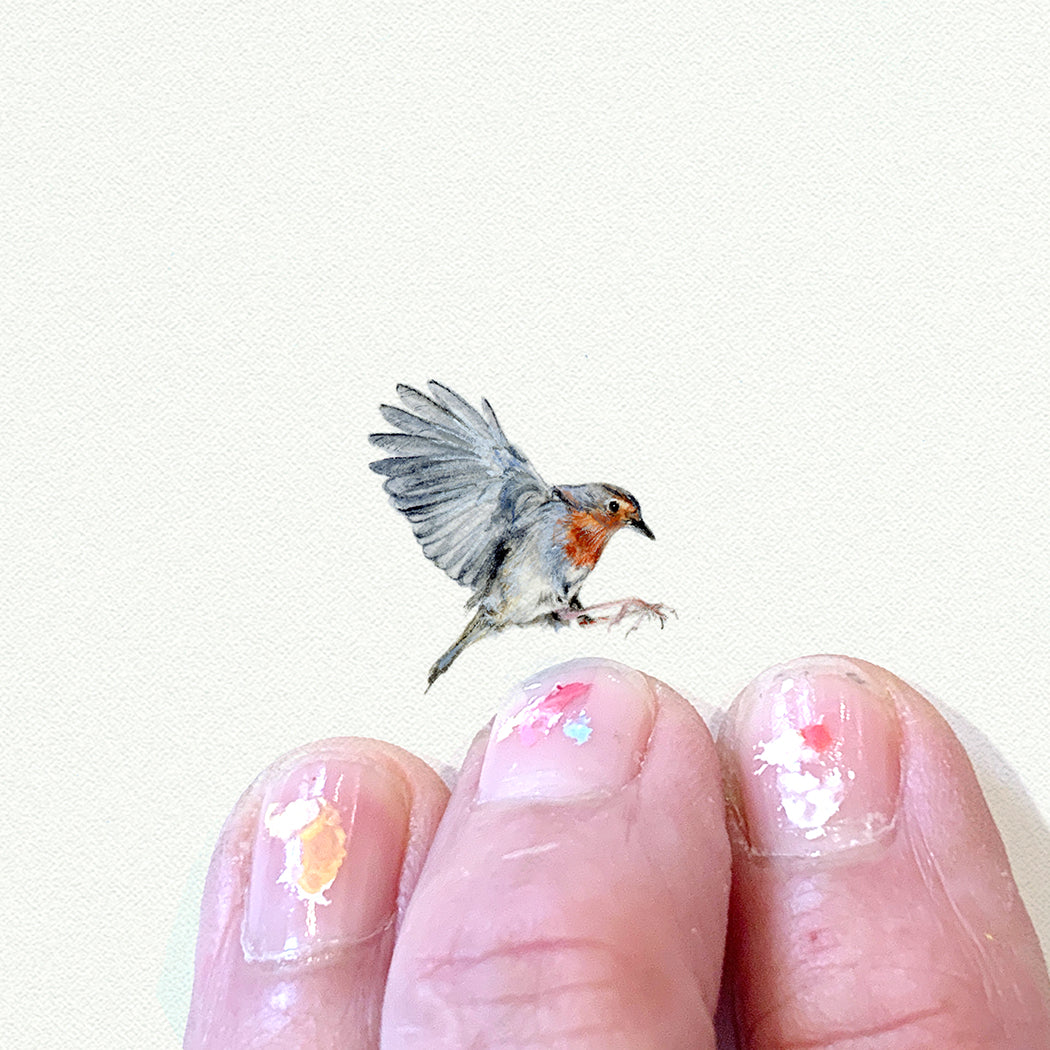 Robin | miniature bird painting | karen libecap miniature painting ...